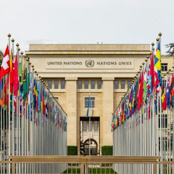 Bull vs. Buffalo: Understanding Distinctions in Bovine Species ...