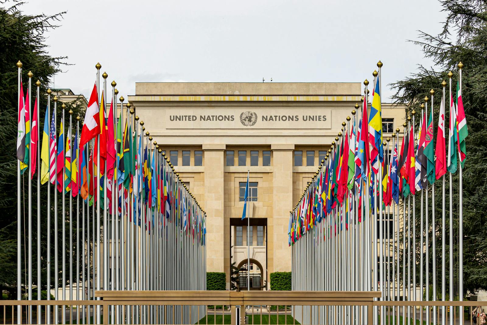 UN vs. WTO: Understanding the Roles of Global Organizations – Onestepguide