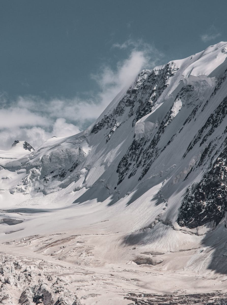 Fascism vs. Communism vs. Totalitarianism: Contrasting Political ...