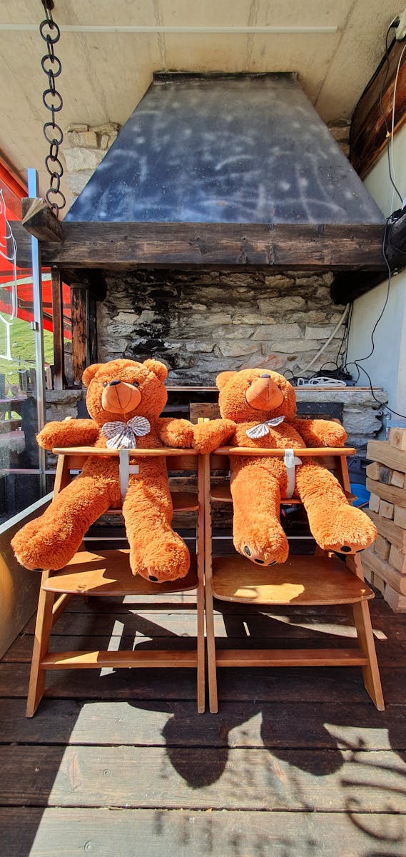 Chair vs. Seat: Clarifying the Differences in Seating Options ...