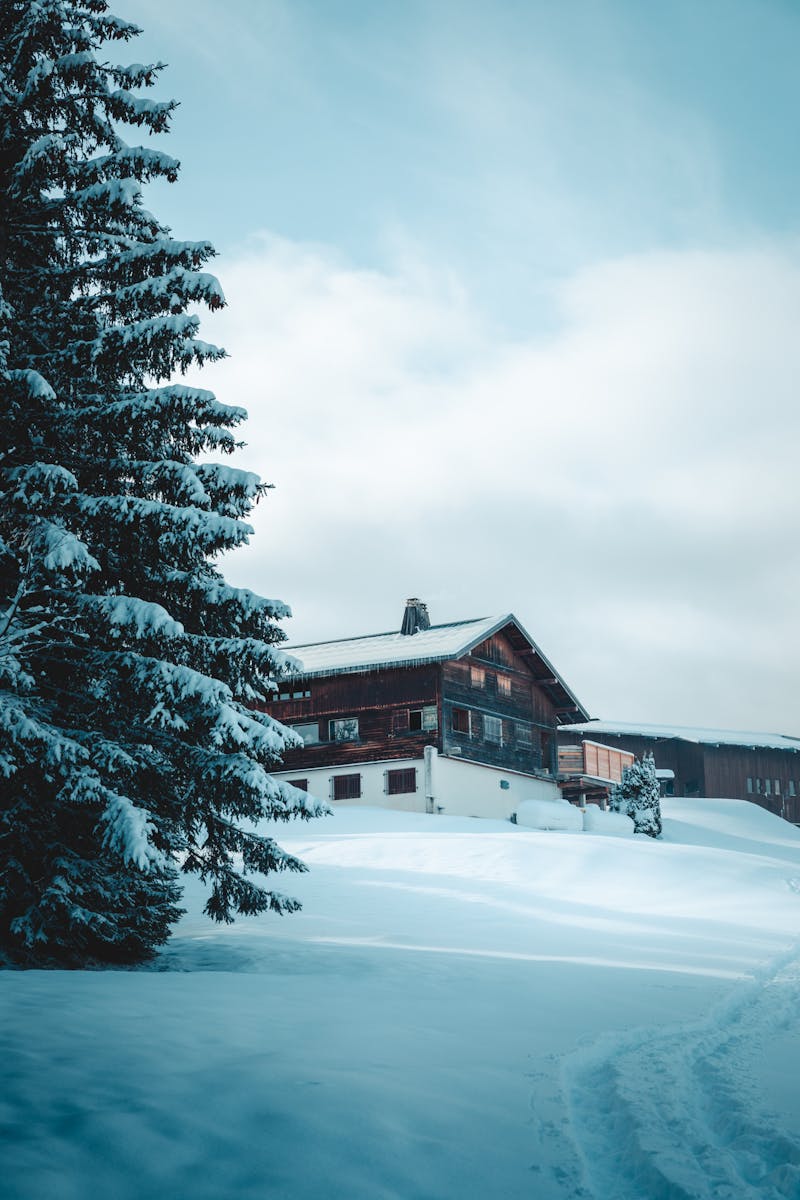 Lodge vs Cabin: Which Cozy Getaway is Right for You? – Onestepguide