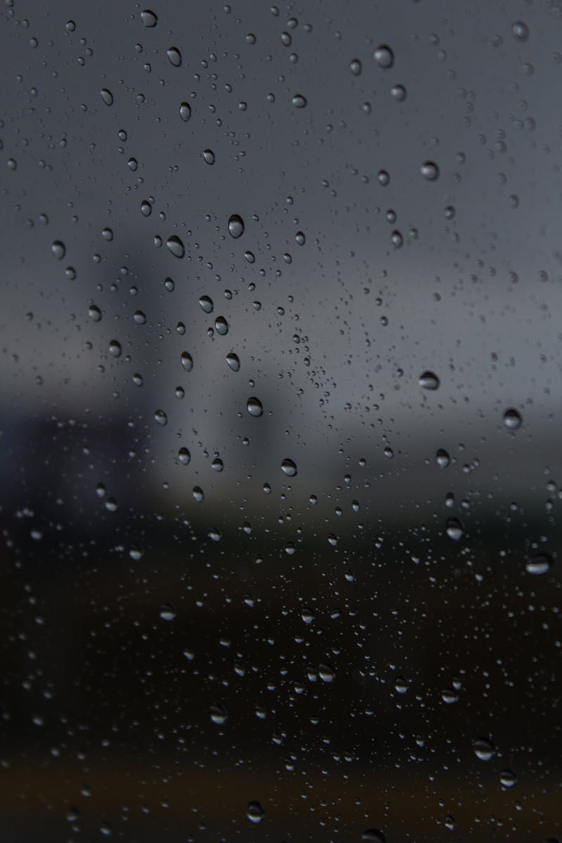 Condensation vs. Precipitation: Key Differences in Water Cycle ...