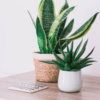 Positron vs. Proton: Key Differences in Subatomic Particles – Onestepguide