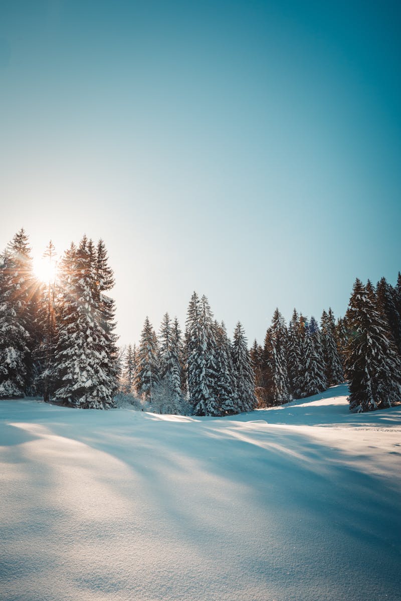 Darwin vs. Lamarck: Comparing Evolutionary Theories – Onestepguide