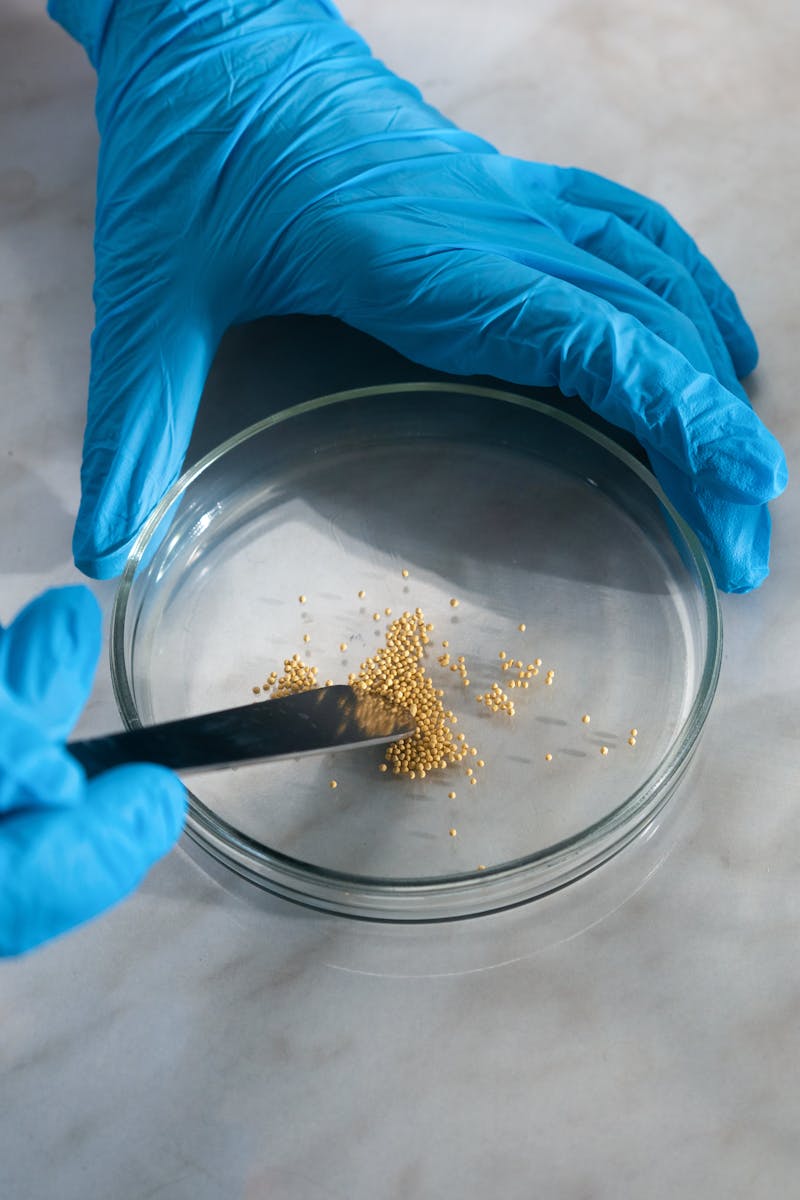 Qualitative vs. Quantitative Observation: Understanding Research ...